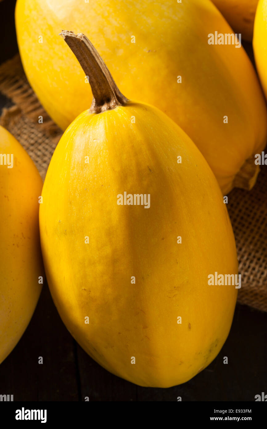 Spaghetti gourd hi-res stock photography and images - Alamy
