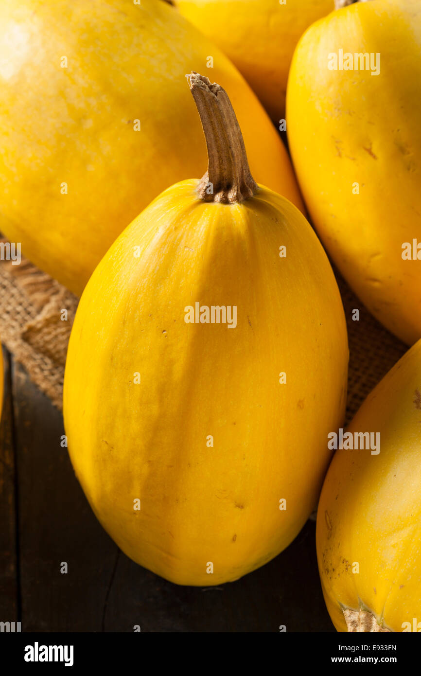 Raw Organic Yellow Spaghetti Squash on a Background Stock Photo - Alamy