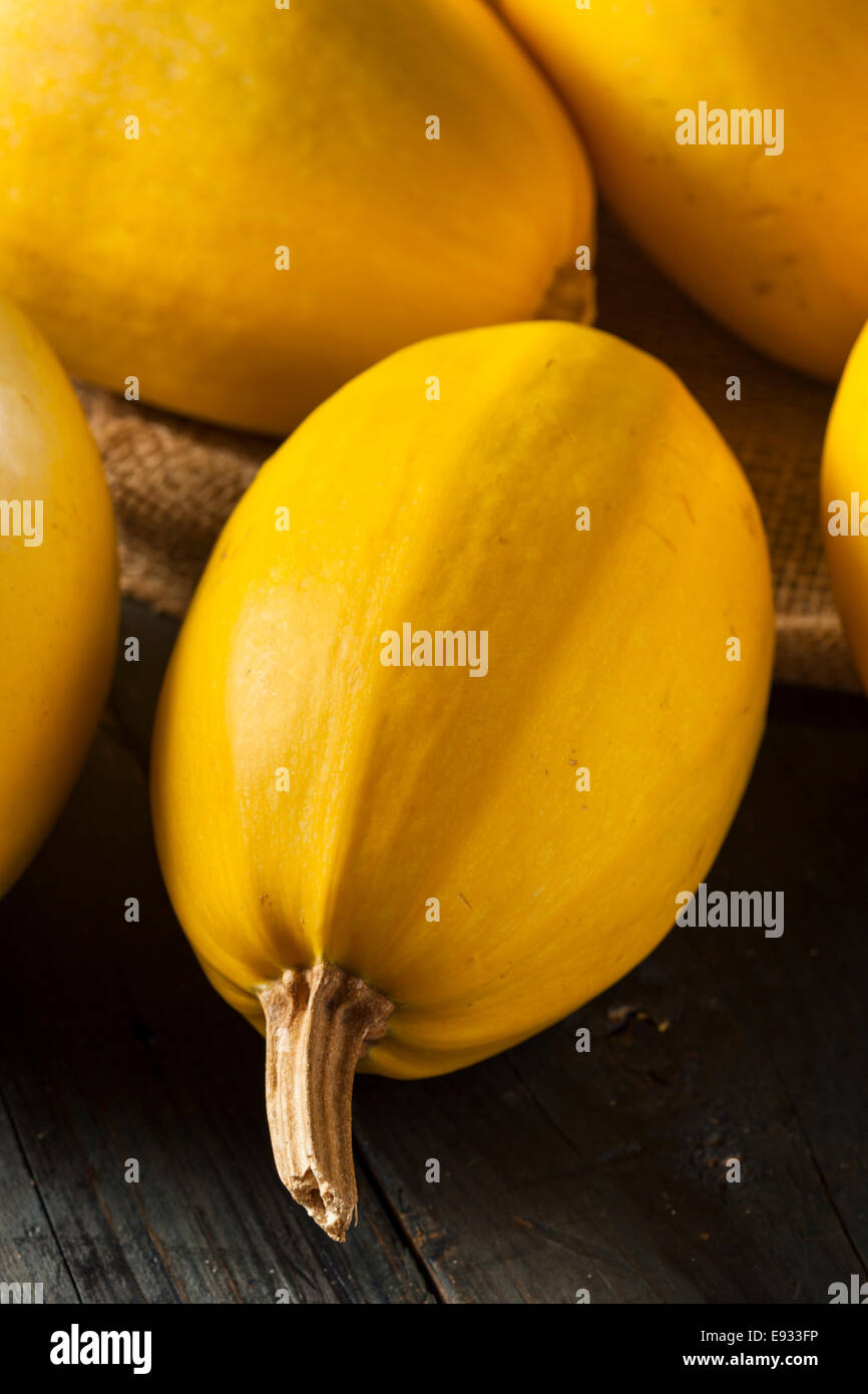 Spaghetti gourd hi-res stock photography and images - Alamy