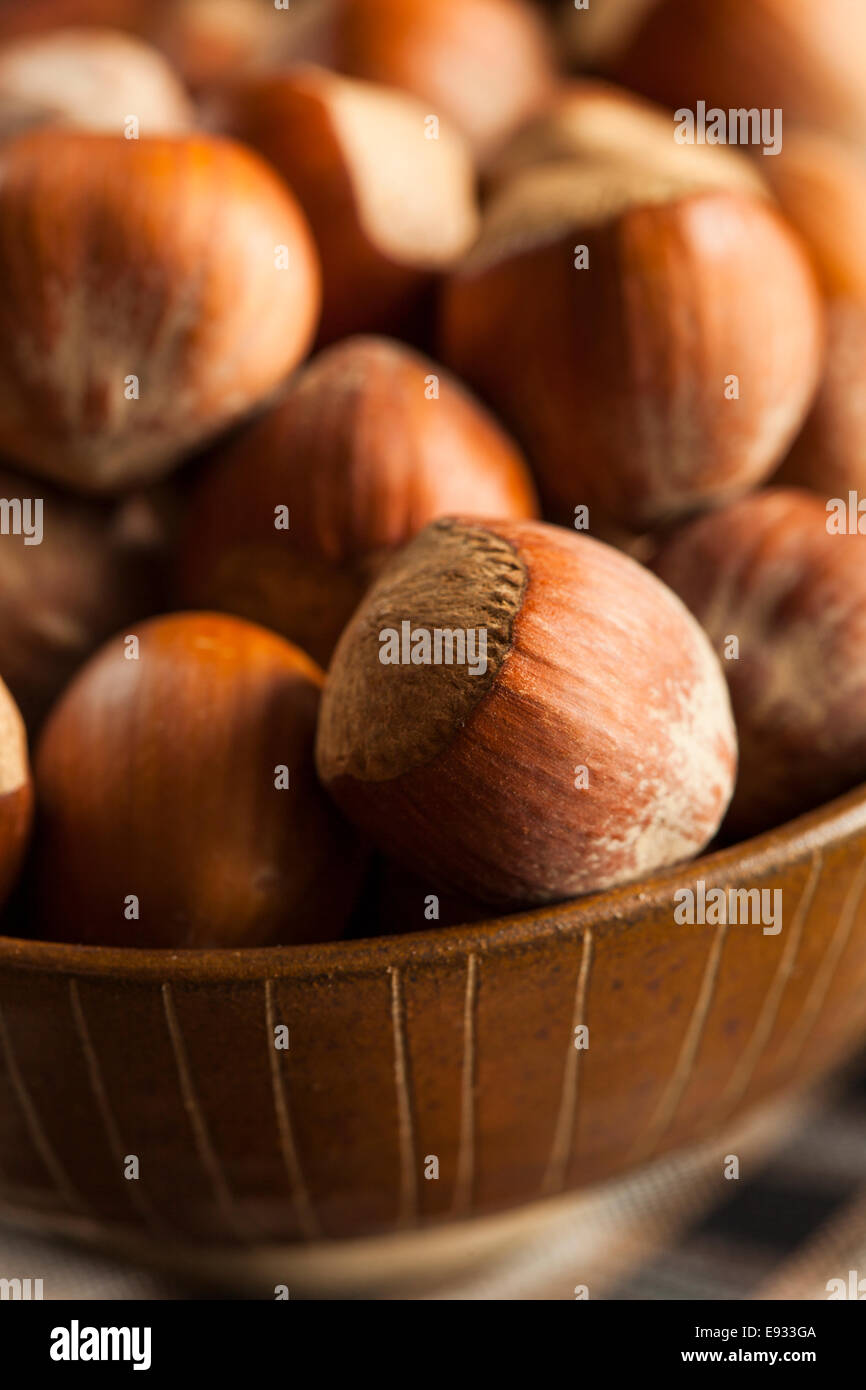 Raw Organic Whole Hazelnuts in a Bowl Stock Photo - Alamy