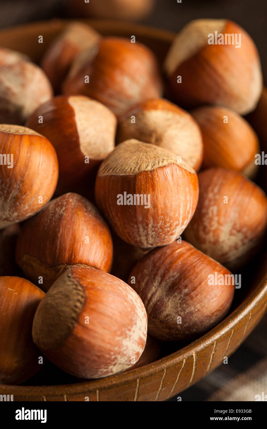 Raw Organic Whole Hazelnuts in a Bowl Stock Photo - Alamy