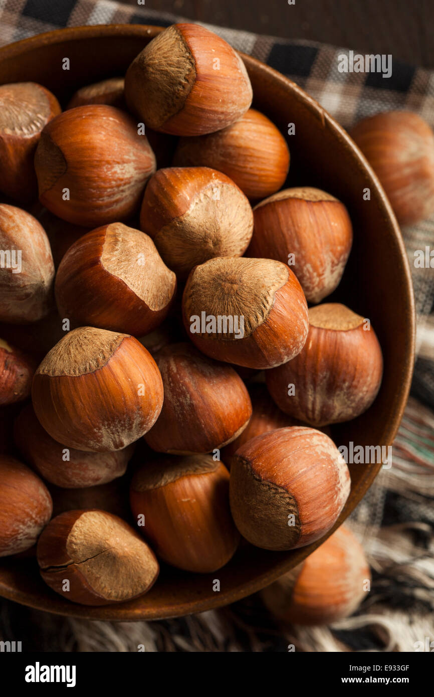 Group hazelnuts in shell hi-res stock photography and images - Alamy