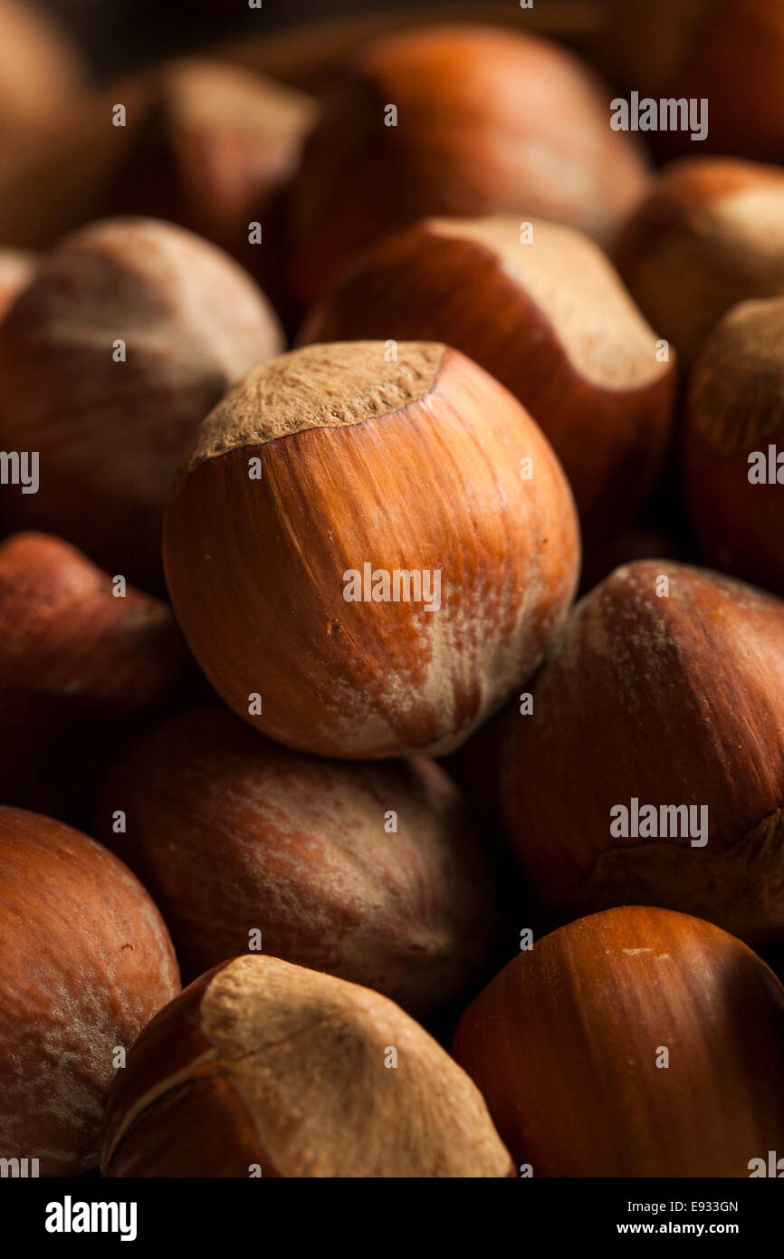 Raw Organic Whole Hazelnuts in a Bowl Stock Photo - Alamy