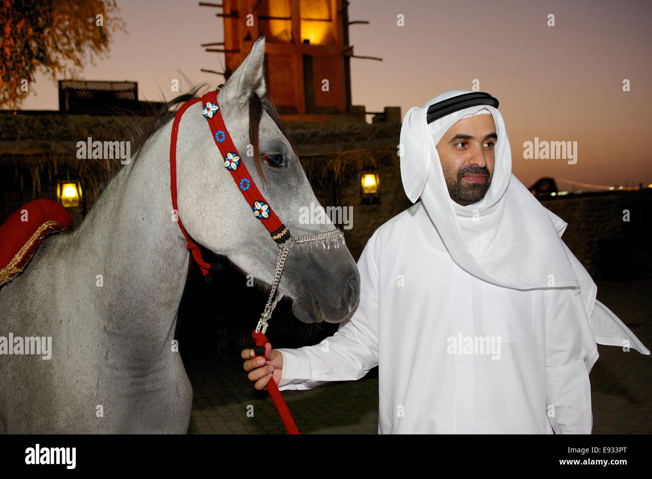 An Arab man leads his grey Arabian horse at sunset in Dubai, with ...
