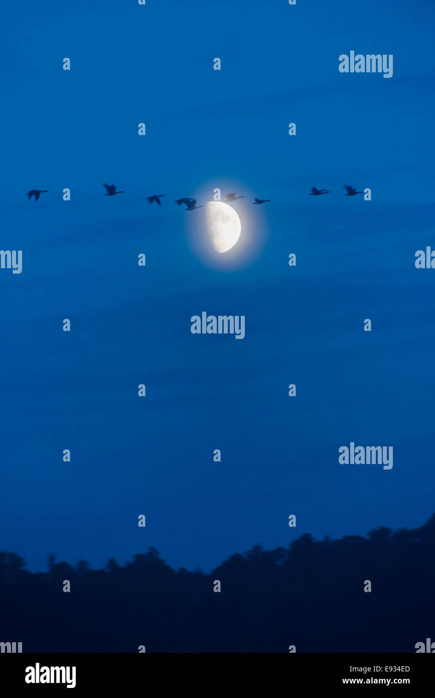 Flying by the moon hi-res stock photography and images - Alamy