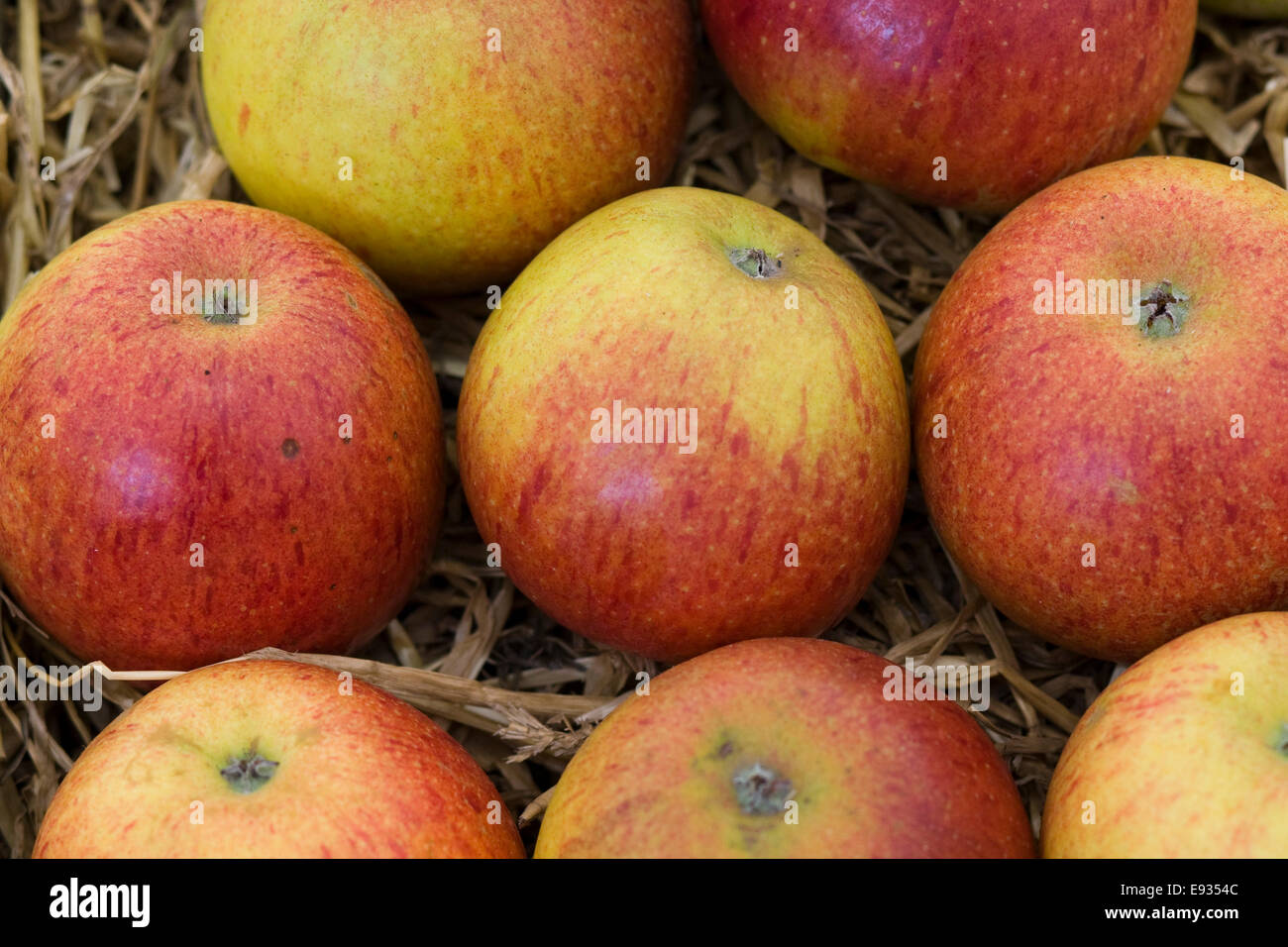 Edible fruit crop harvest hi-res stock photography and images - Alamy