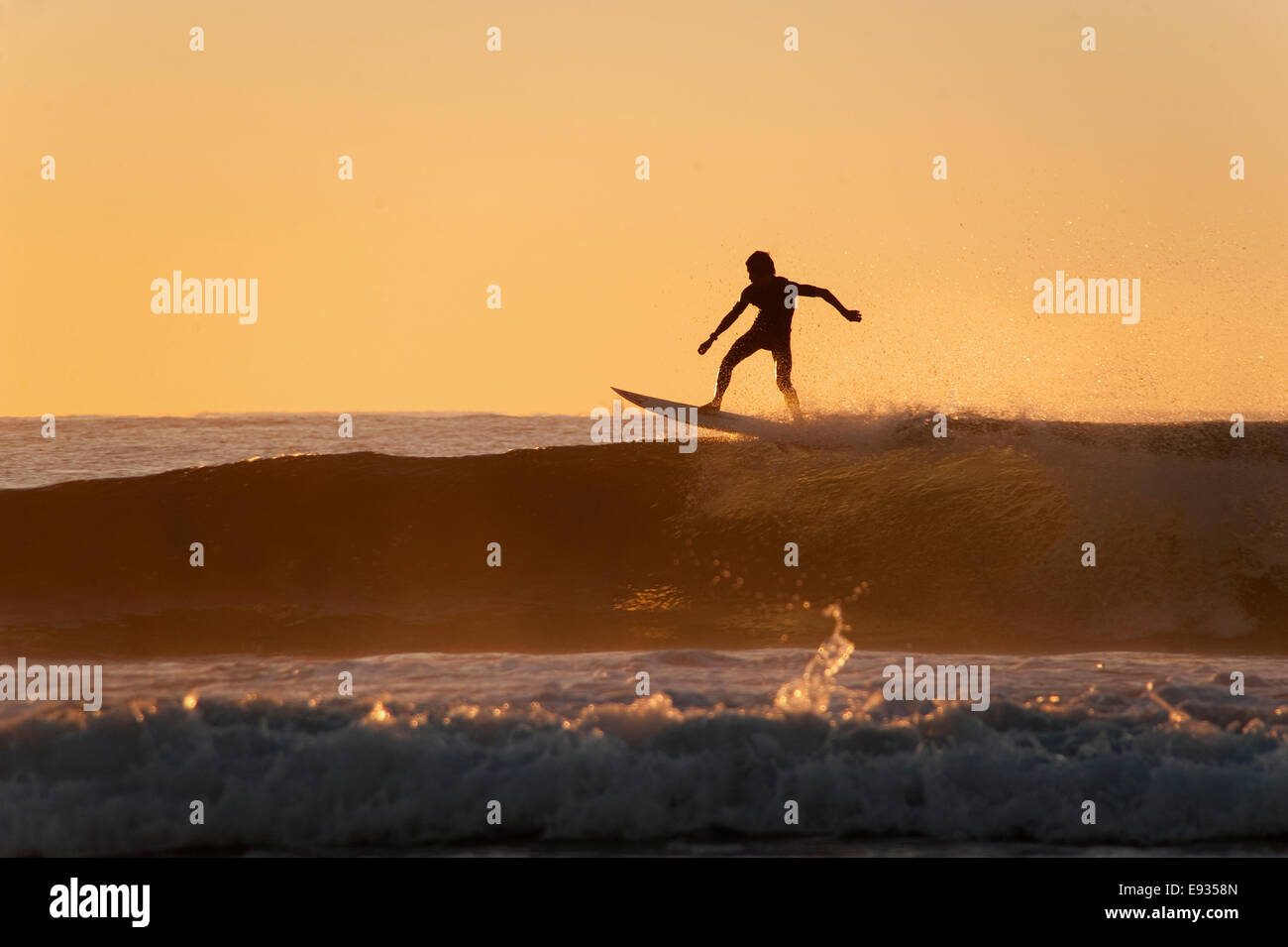 Back lit wave hi-res stock photography and images - Alamy