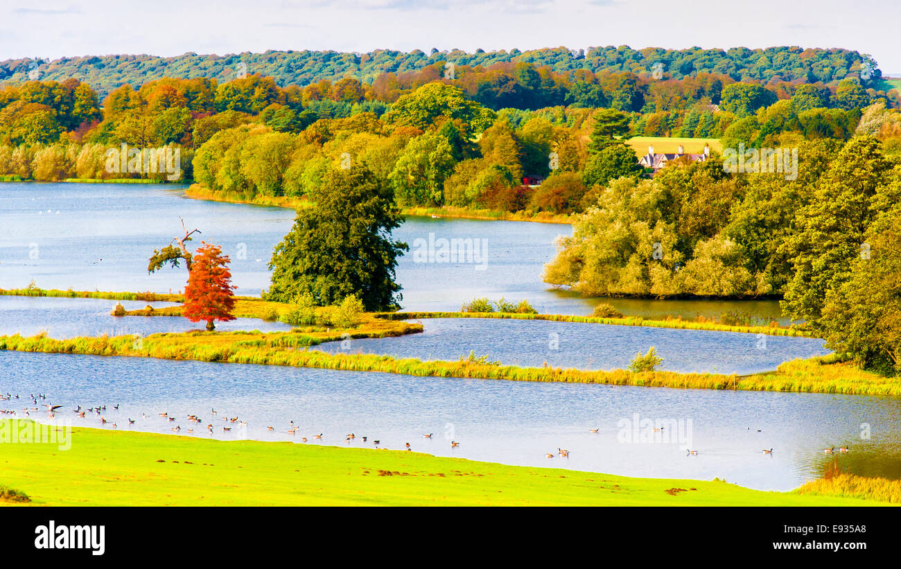 English landscape in autumn with colorful trees and wildlife Stock ...