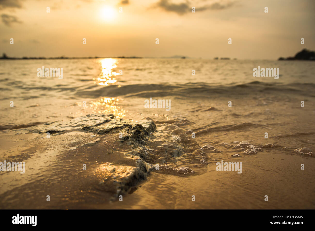 P wave hi-res stock photography and images - Alamy