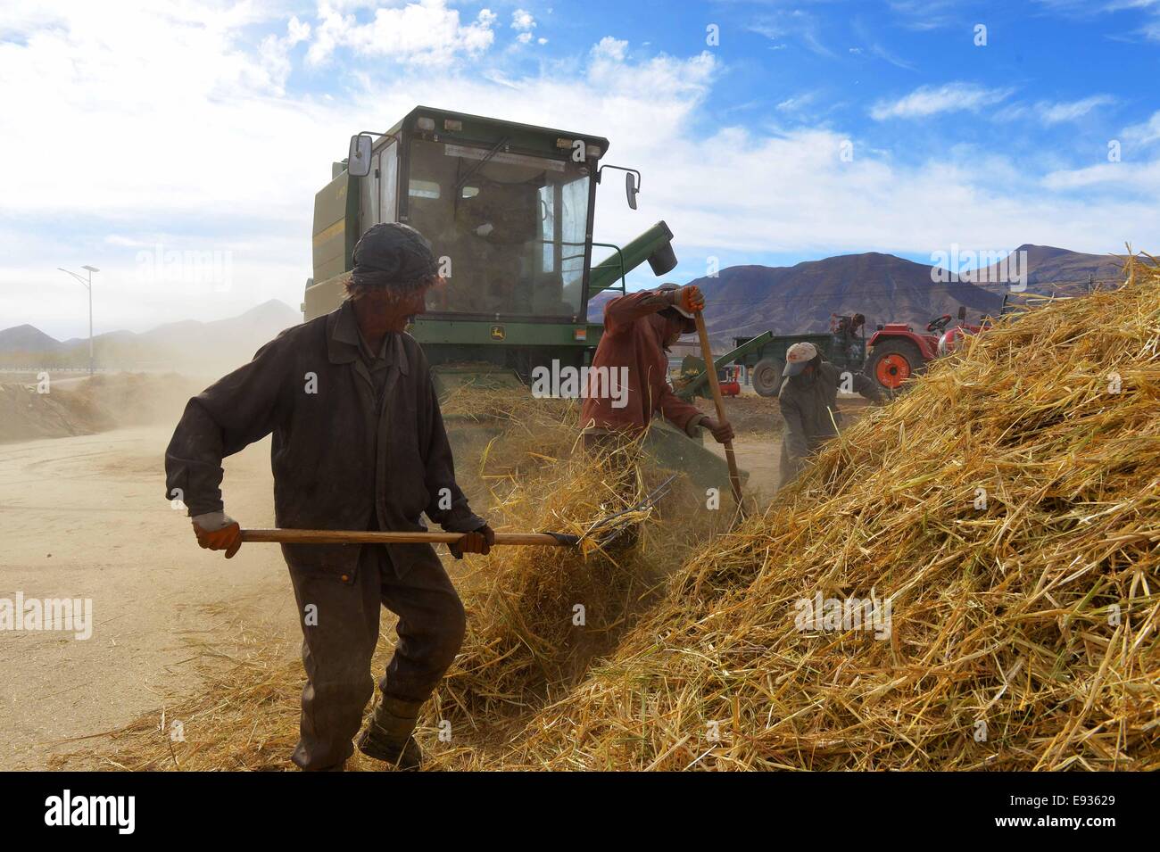 Xigaze, China's Tibet Autonomous Region. 18th Oct, 2014. Farmers thresh ...