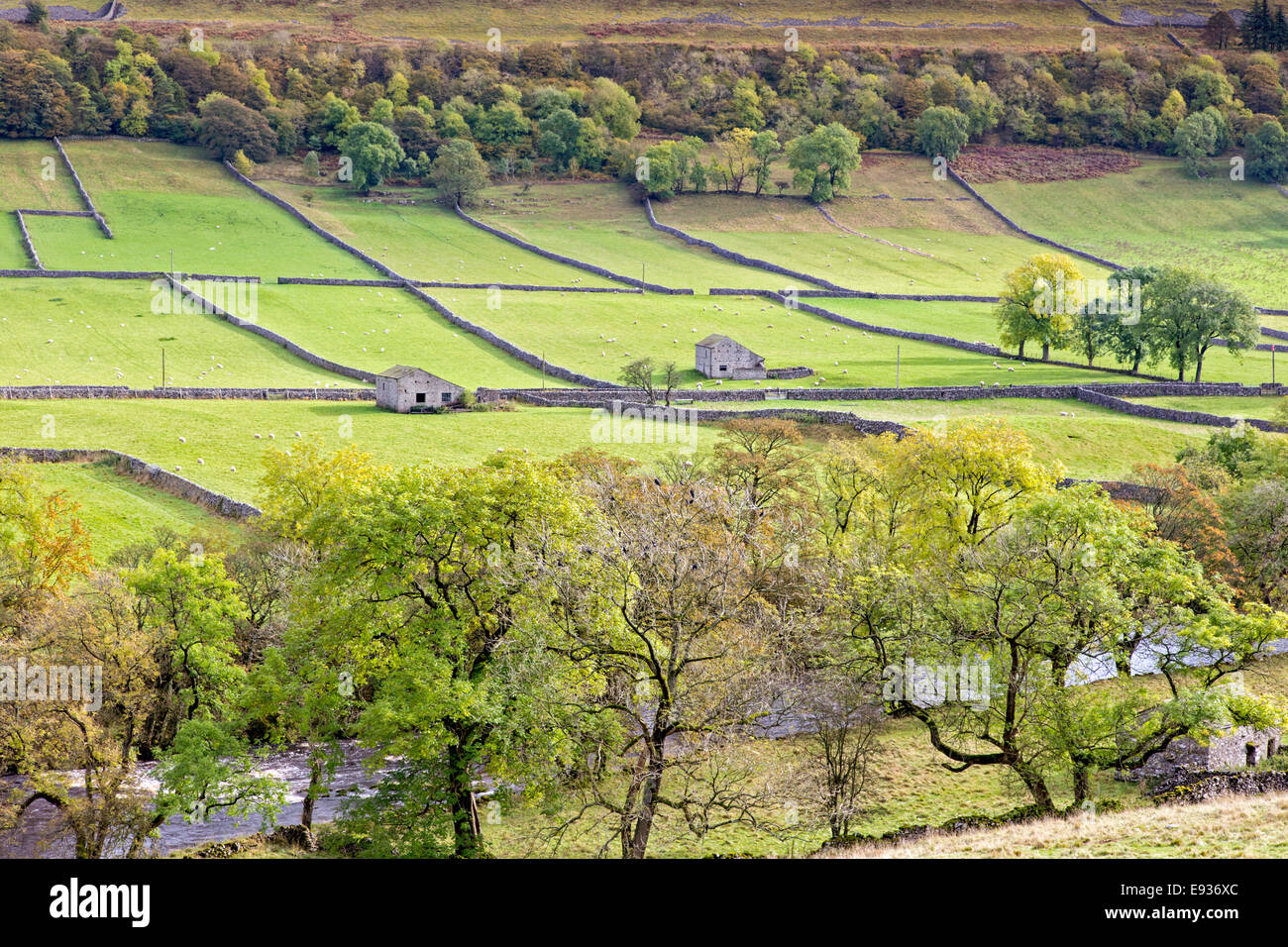 Limestone country and the River Wharf near Grassington, Yorkshire Dales ...