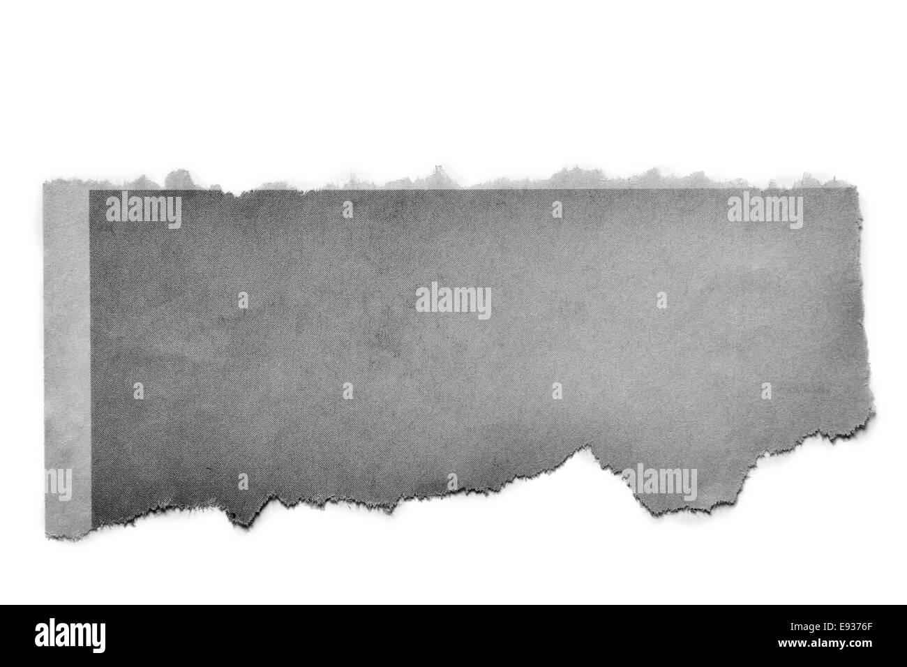 Piece of torn paper on plain background Stock Photo - Alamy
