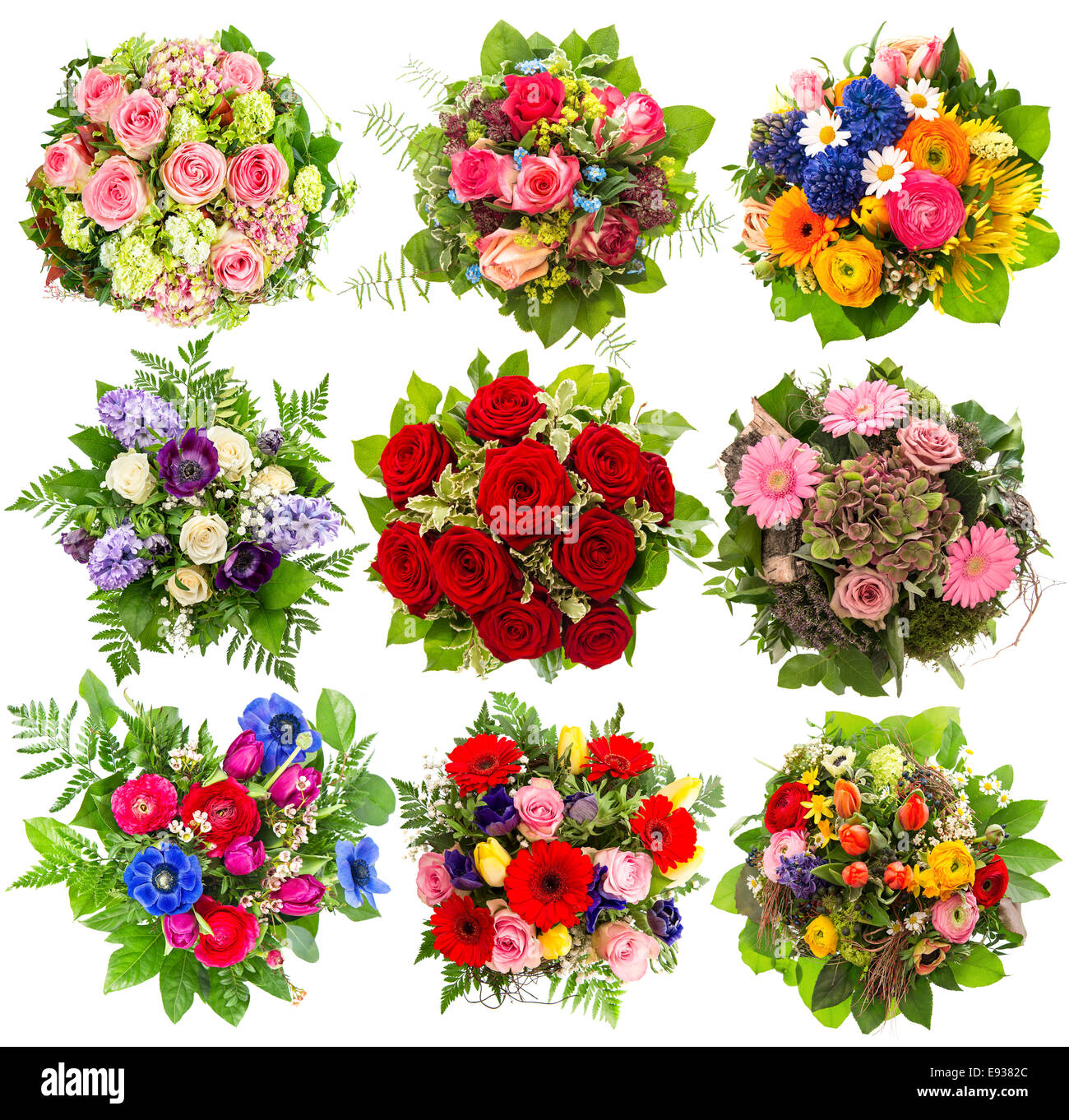 Nine roses Cut Out Stock Images & Pictures - Alamy