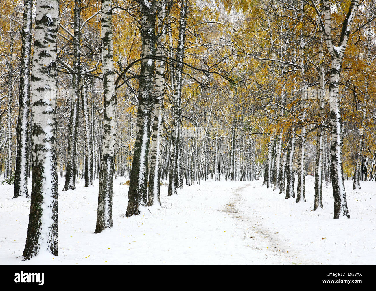 Snow park first pathway hi-res stock photography and images - Alamy