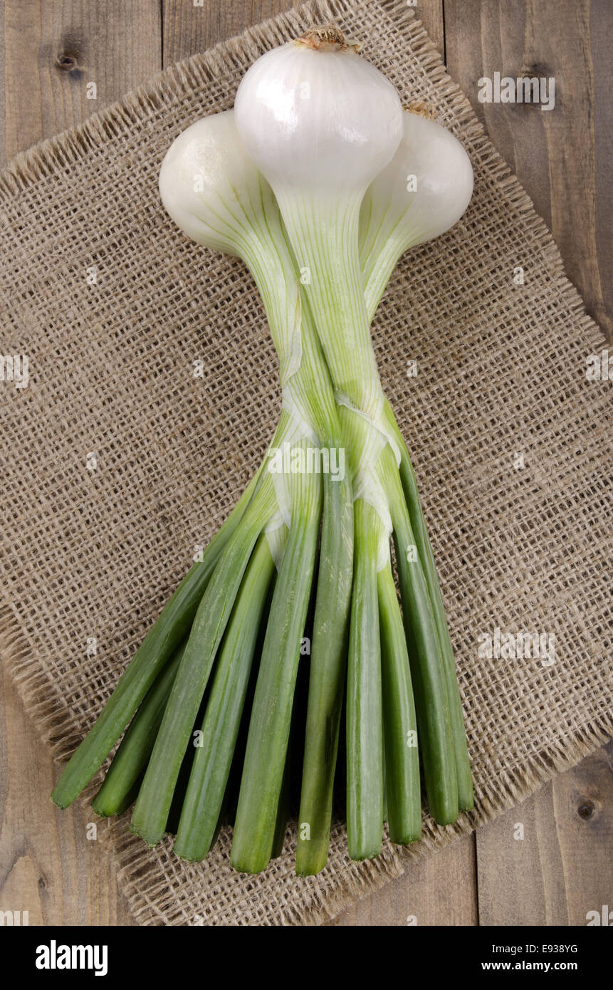 Jumbo brown hi-res stock photography and images - Alamy