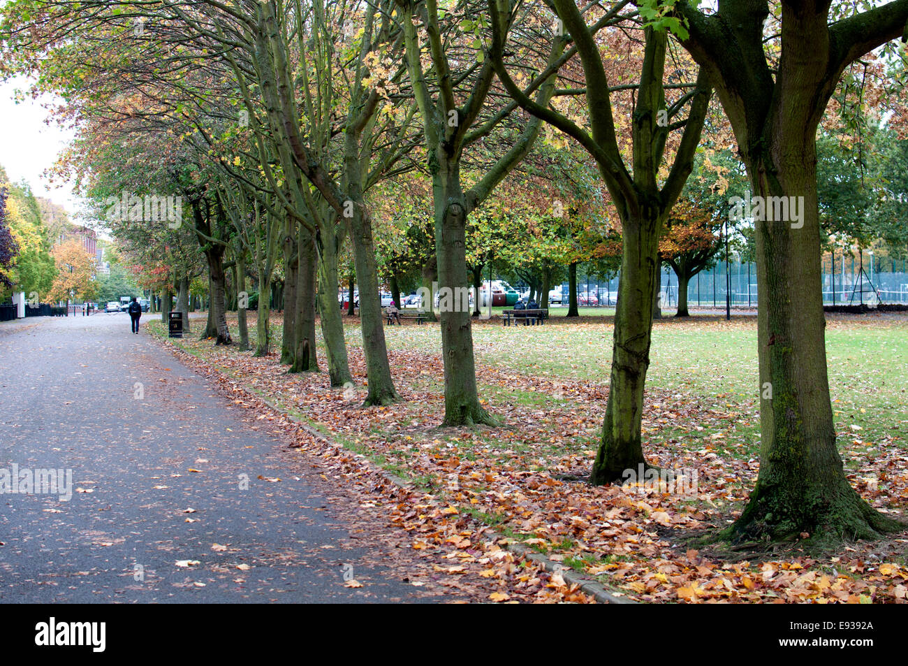 Leicester autumn public parks hi-res stock photography and images - Alamy