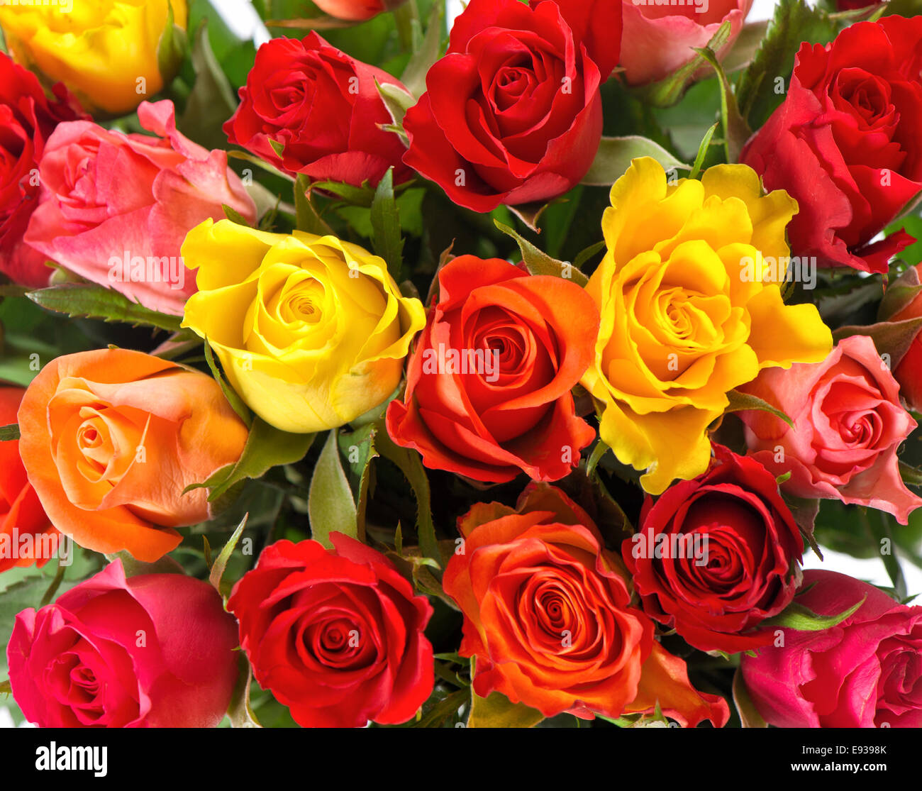 beautiful bouquet of colorful fresh assorted roses Stock Photo - Alamy