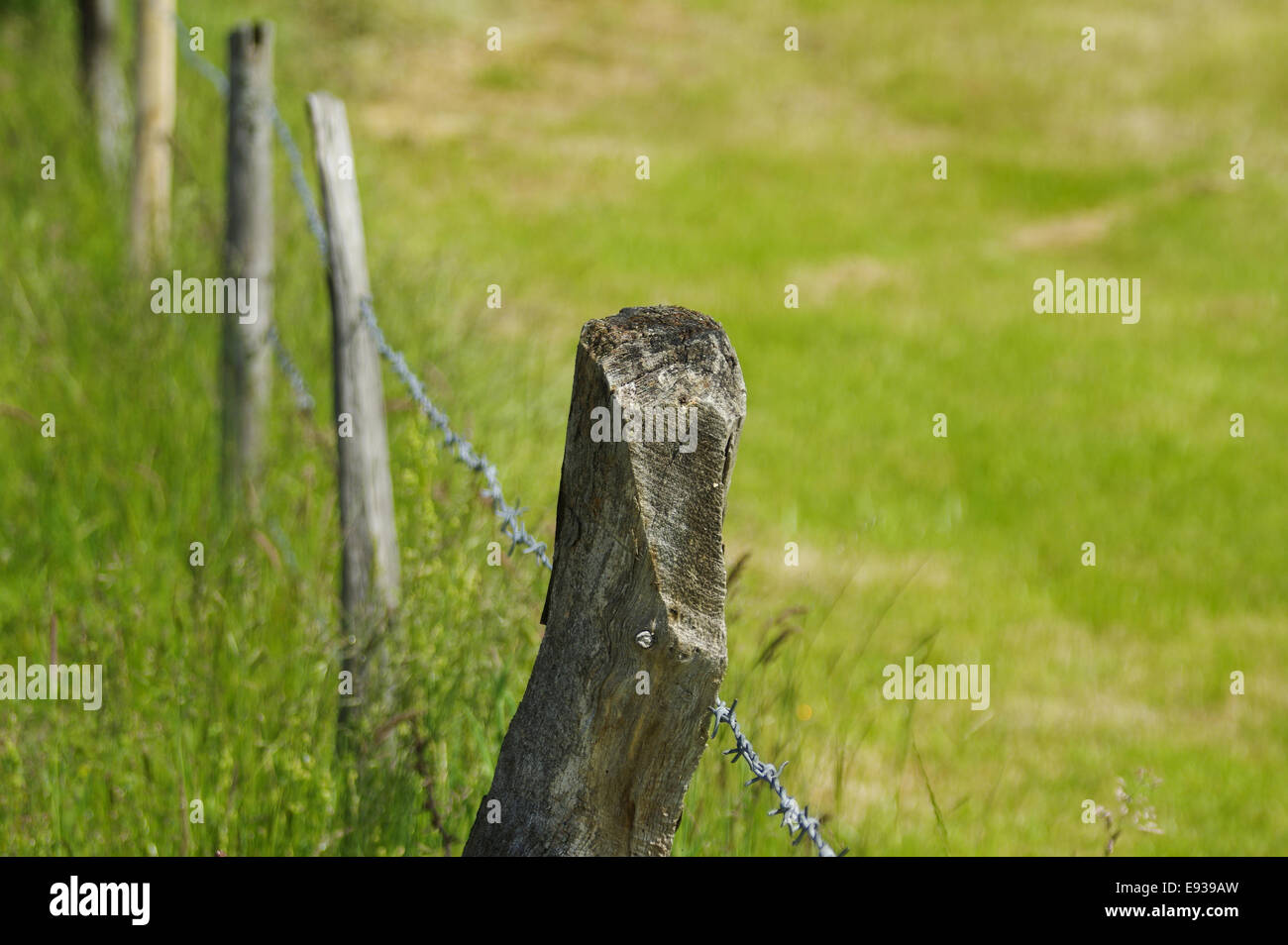 Close-up of a fence with barbed wire Stock Photo - Alamy