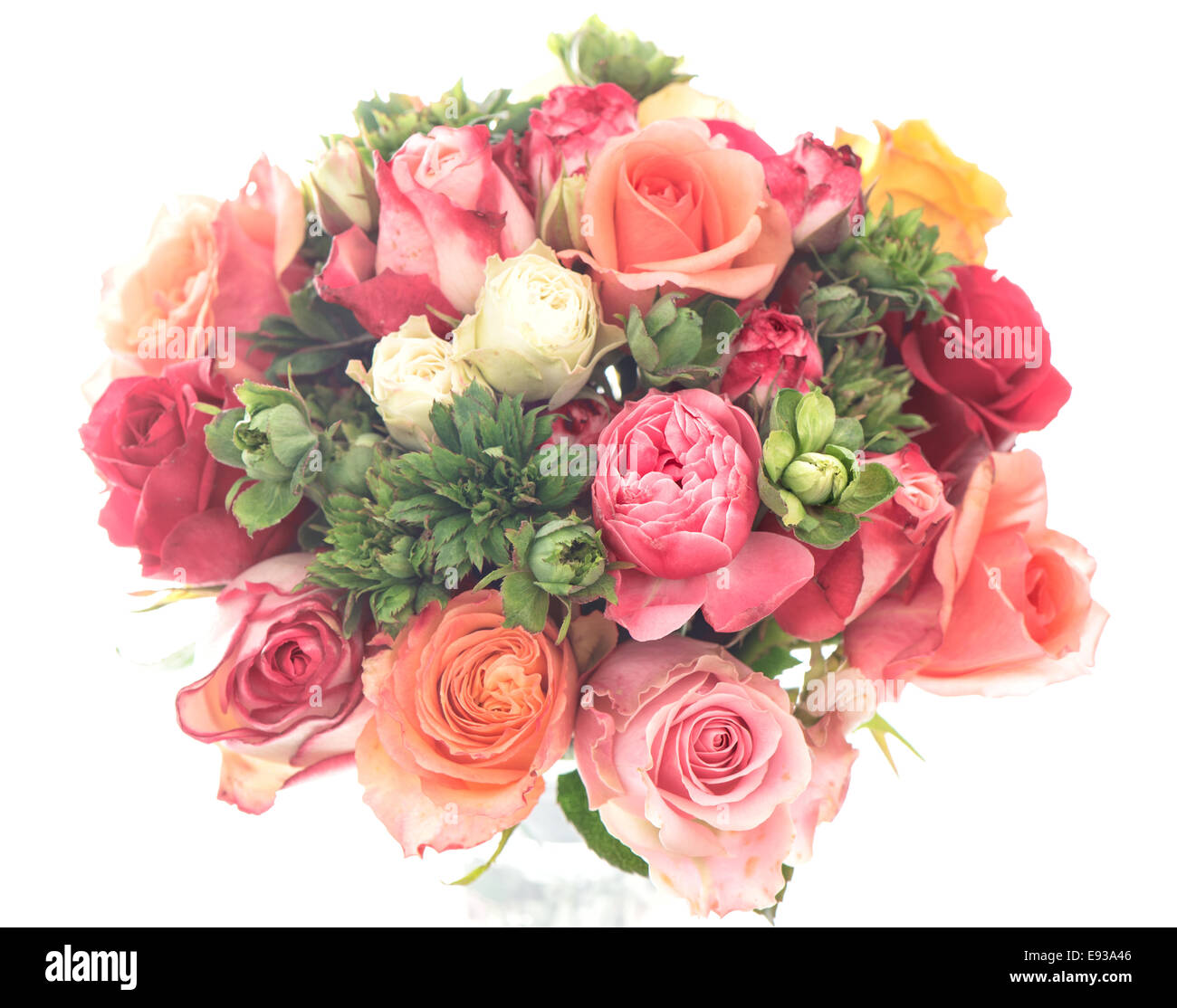 bouquet of colorful assorted roses on white background. high key Stock ...