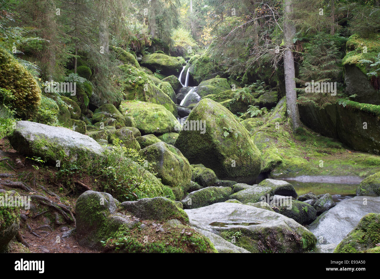 Triberg waterfalls, Germany Stock Photo - Alamy