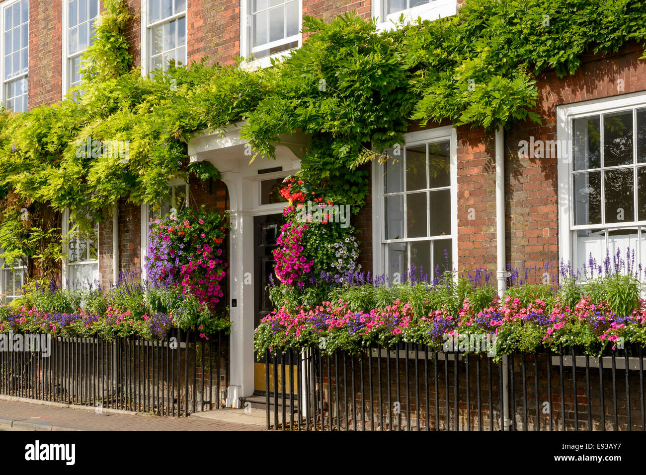 blossoming flowers and greenery on old house brick facade, shot in ...