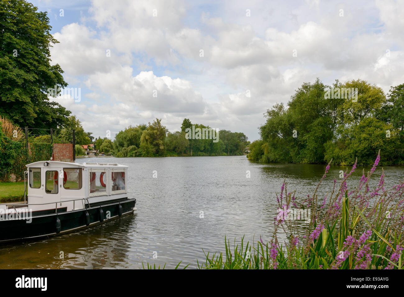 landscape with a bend of slow flowing green river Thames near touristic ...