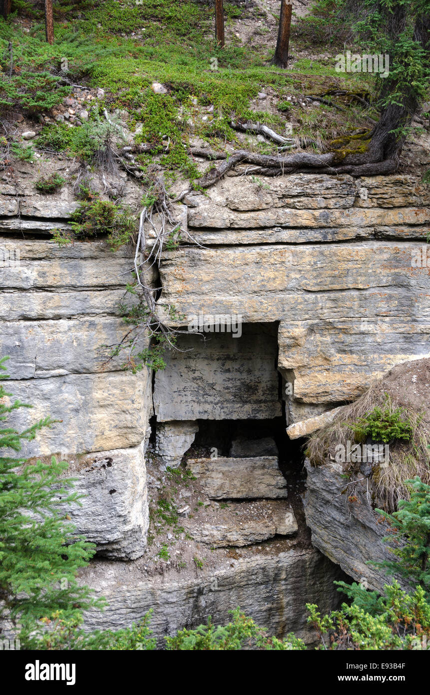 geometric shapes in the rocks of Maligne Canyon Stock Photo - Alamy