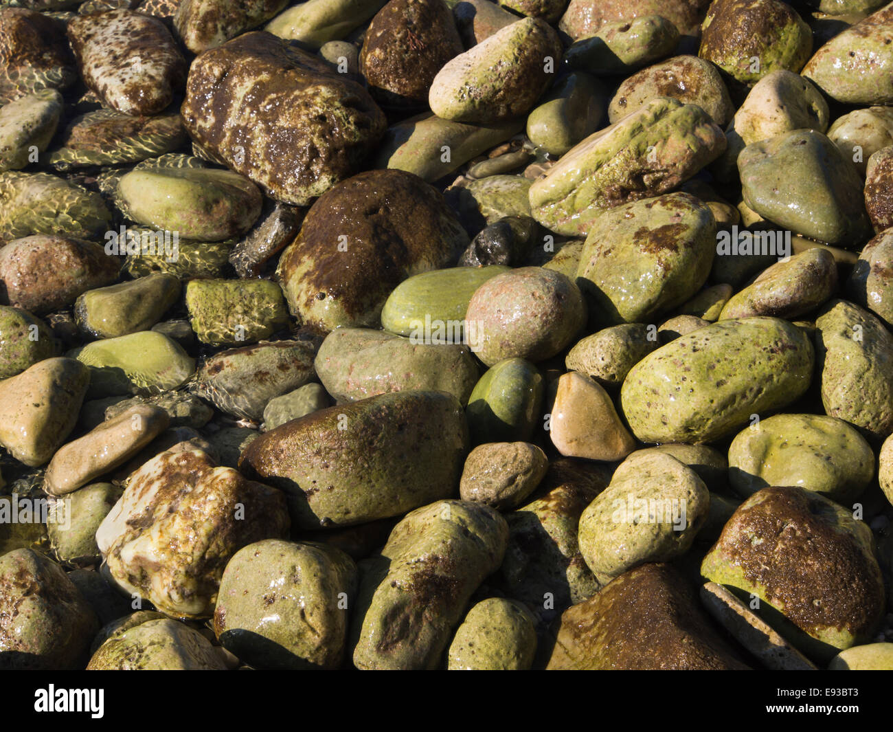 Water rounded pebbles hi-res stock photography and images - Alamy