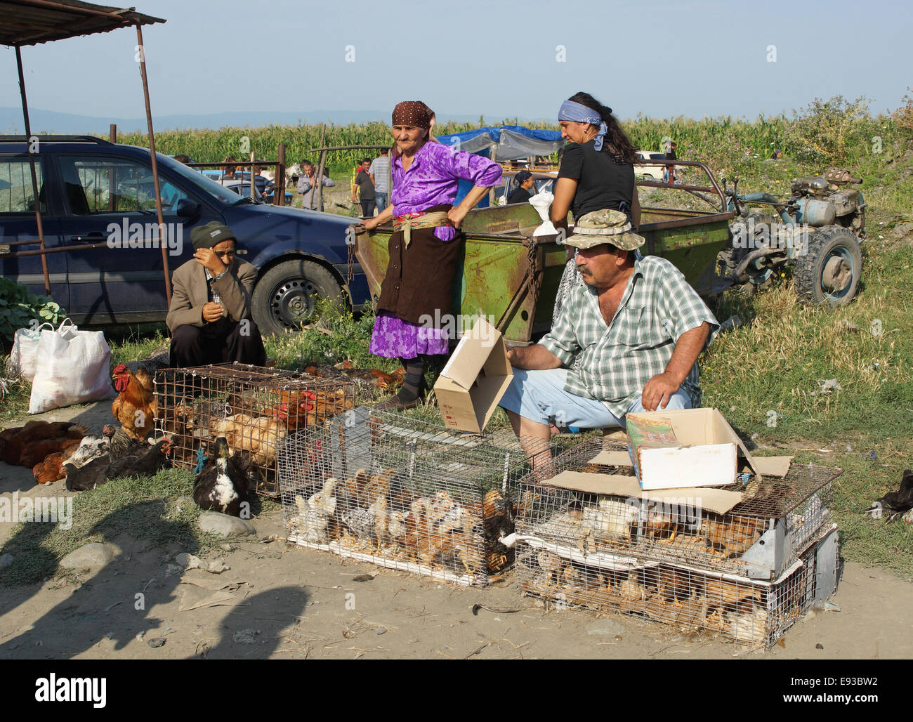 KABALI, GEORGIA - JULY 6, 2014: People selling poultry on the cattle ...