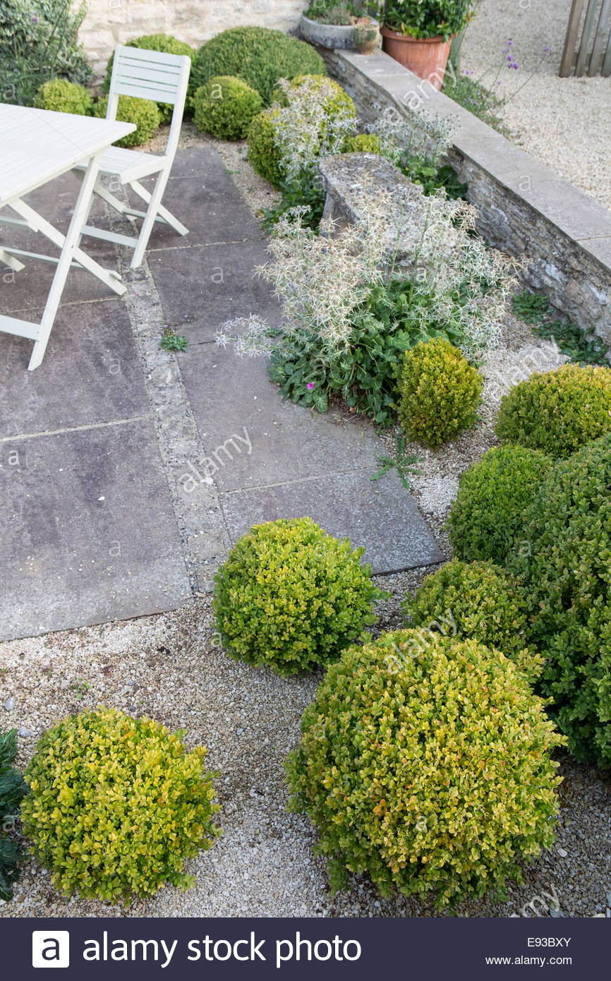 Clipped Garden Hedge Stock Photos & Clipped Garden Hedge Stock Images ...