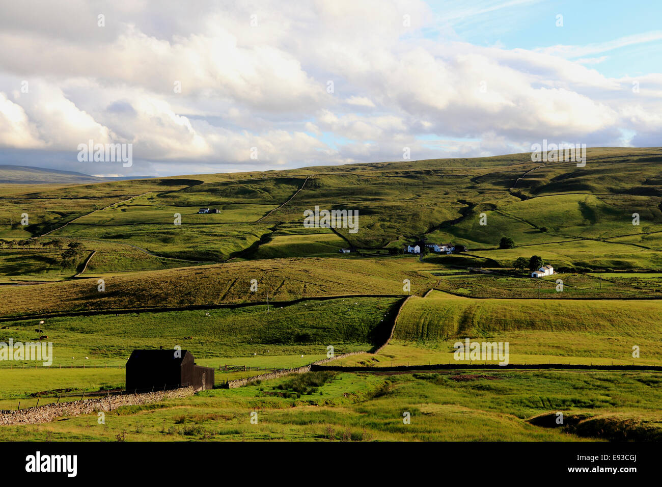 Durham moor hi-res stock photography and images - Alamy