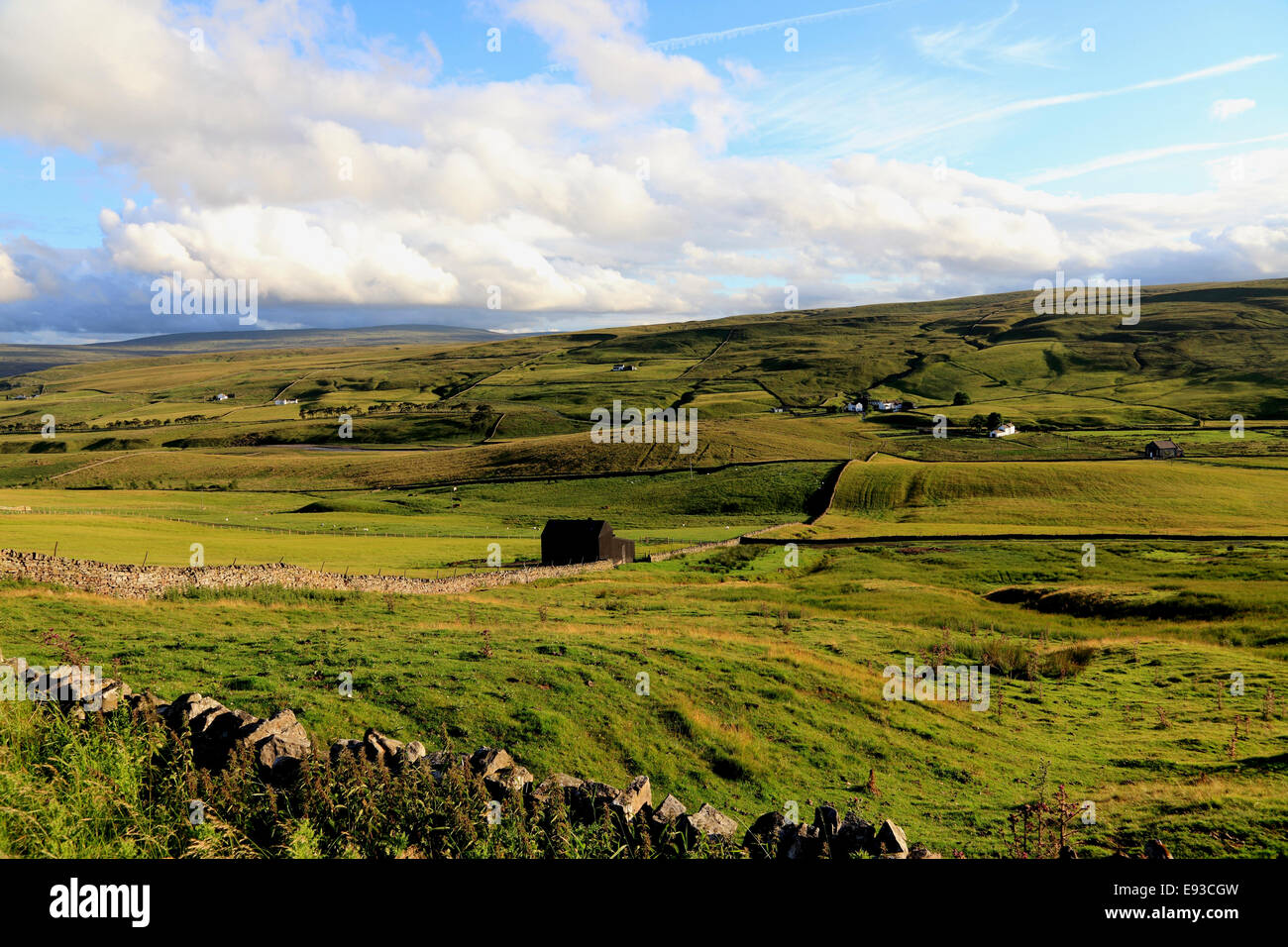 Durham moor hi-res stock photography and images - Alamy