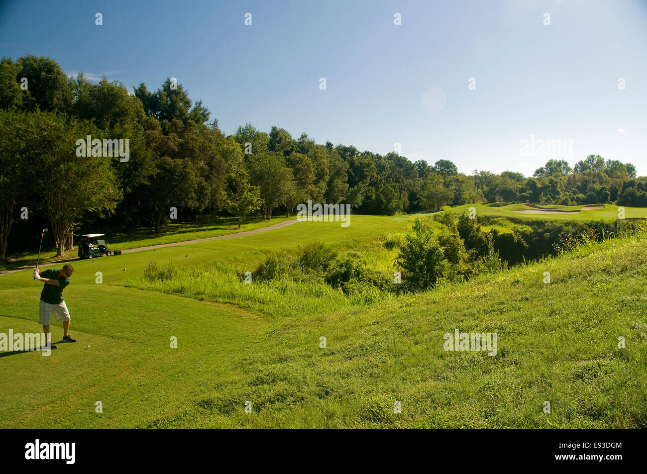 The Quarry Course at Black Diamond Ranch in Citrus County is one of the ...