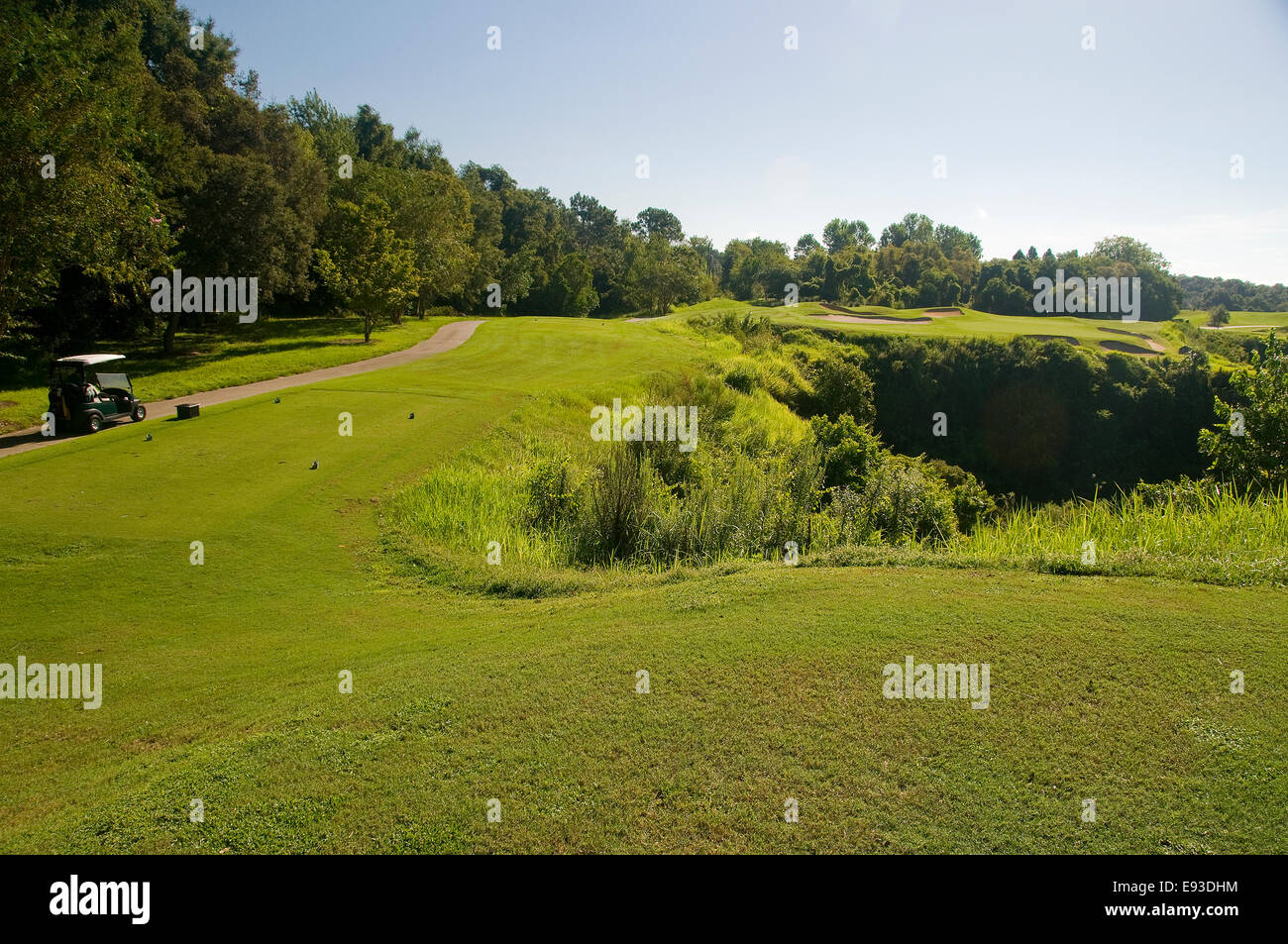 The Quarry Course at Black Diamond Ranch in Citrus County is one of the ...