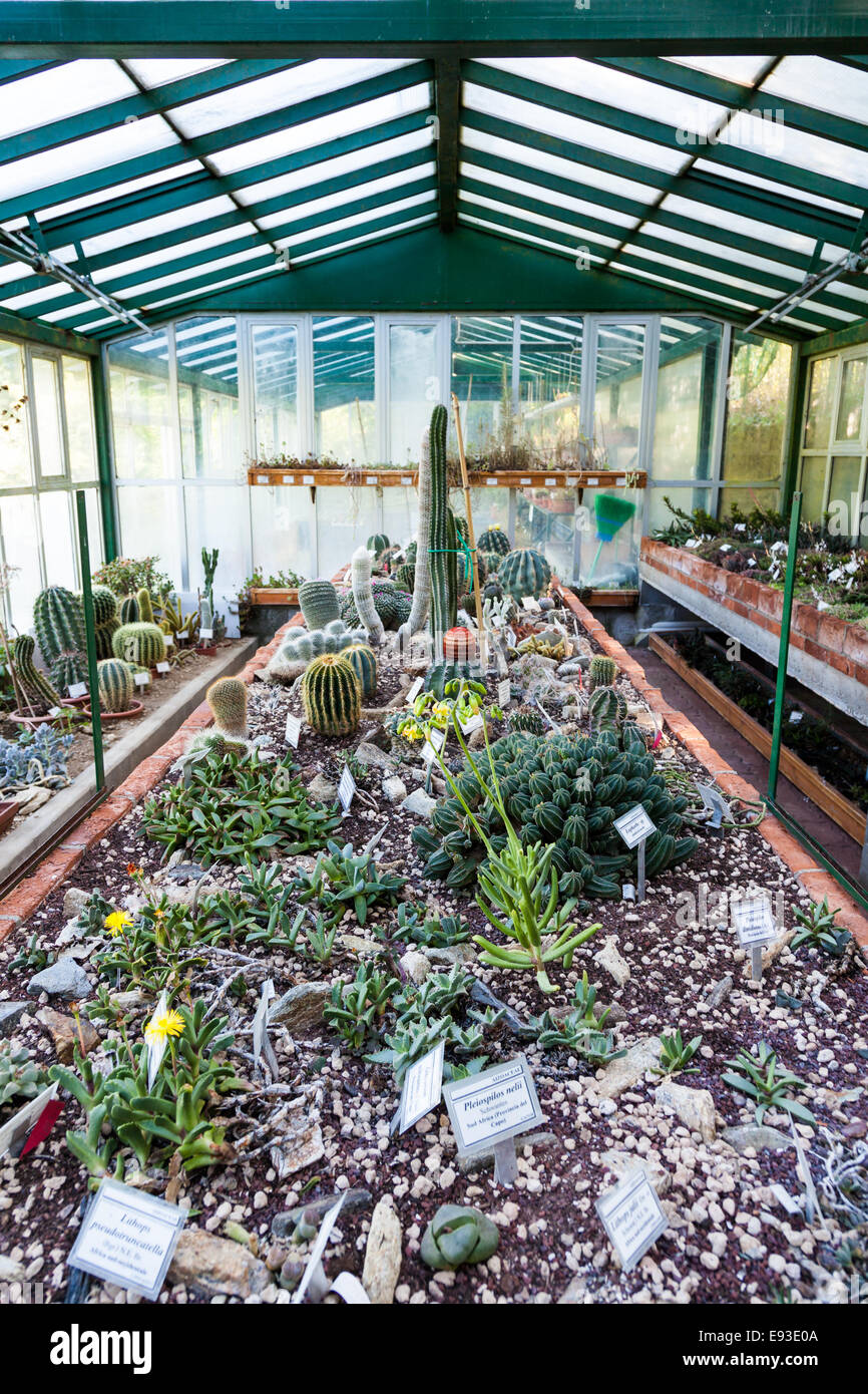 Interior of a cactus greenhouse; detail of the plantation banch Stock ...
