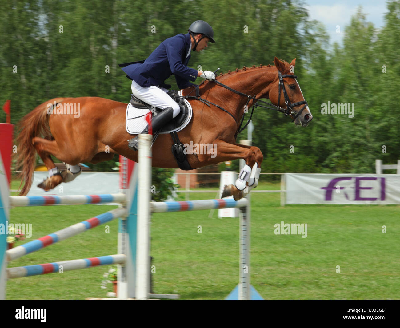 Rider jumping on back of a German horse Stock Photo - Alamy