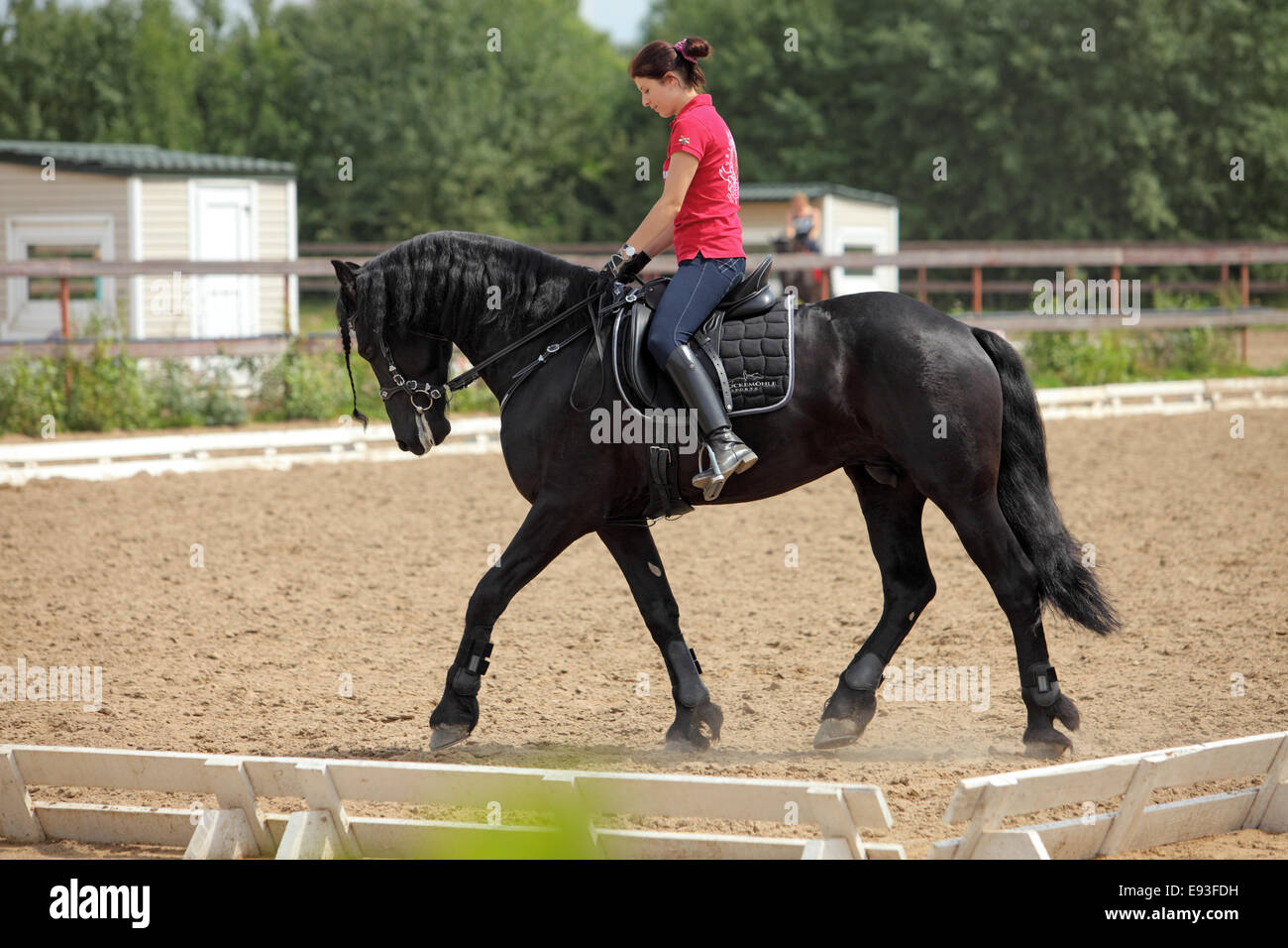 Friesian horse riding hi-res stock photography and images - Alamy