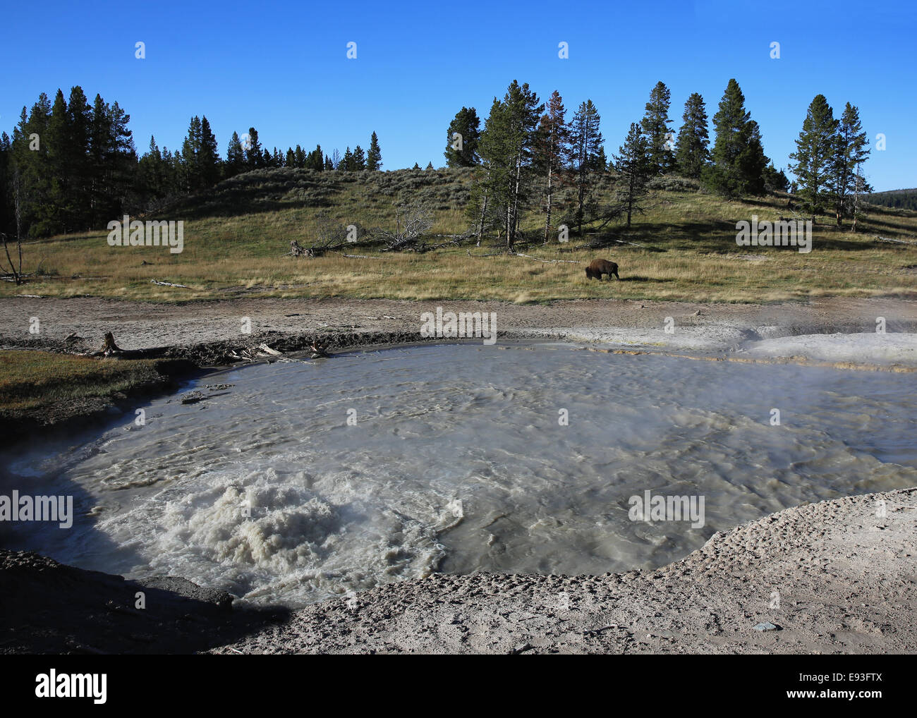 Churning Cauldron hot spring in the Mud Volcano area of Yellowstone ...