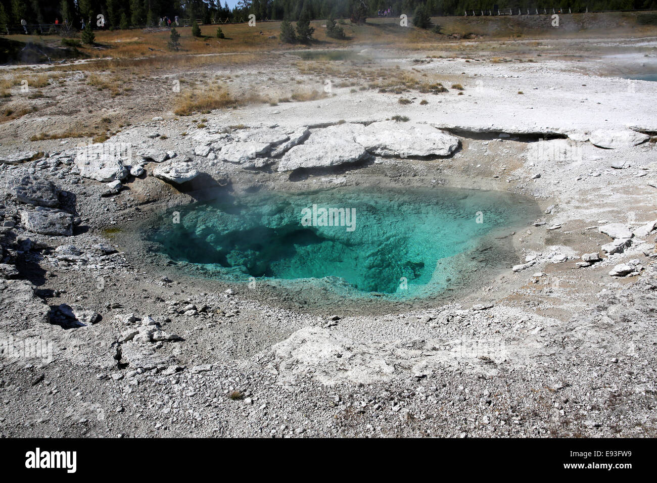 Collapsing Pool, one of the geothermal hot springs in West Thumb Geyser ...