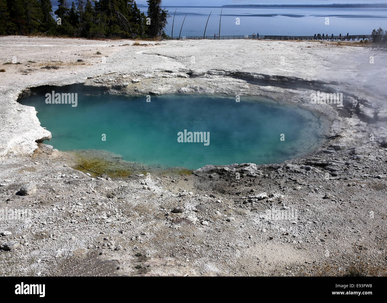 Surging Spring, one of the geothermal hot springs in West Thumb Geyser ...