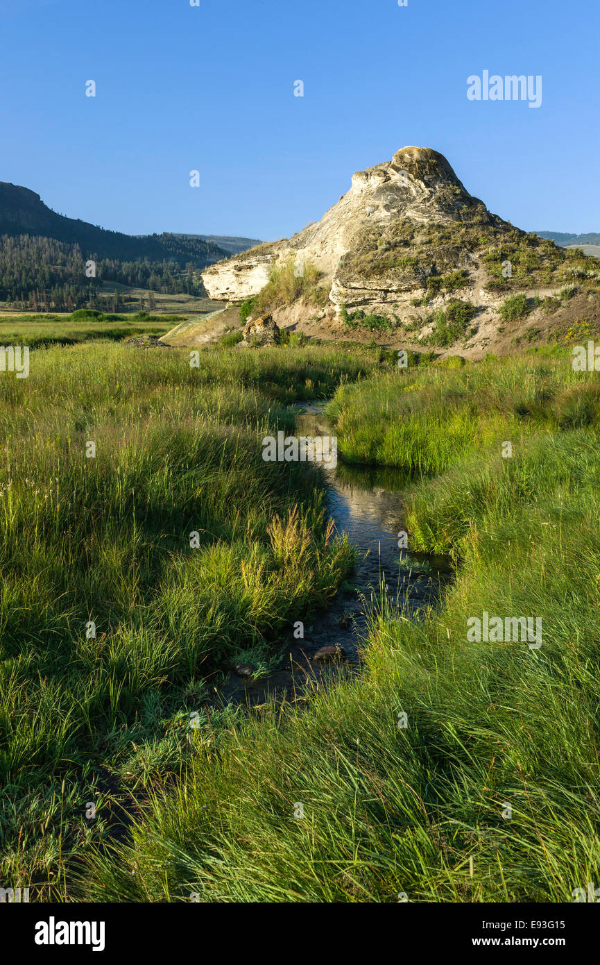A soda butte, travertine, caused by hot springs in Yellowstone National ...