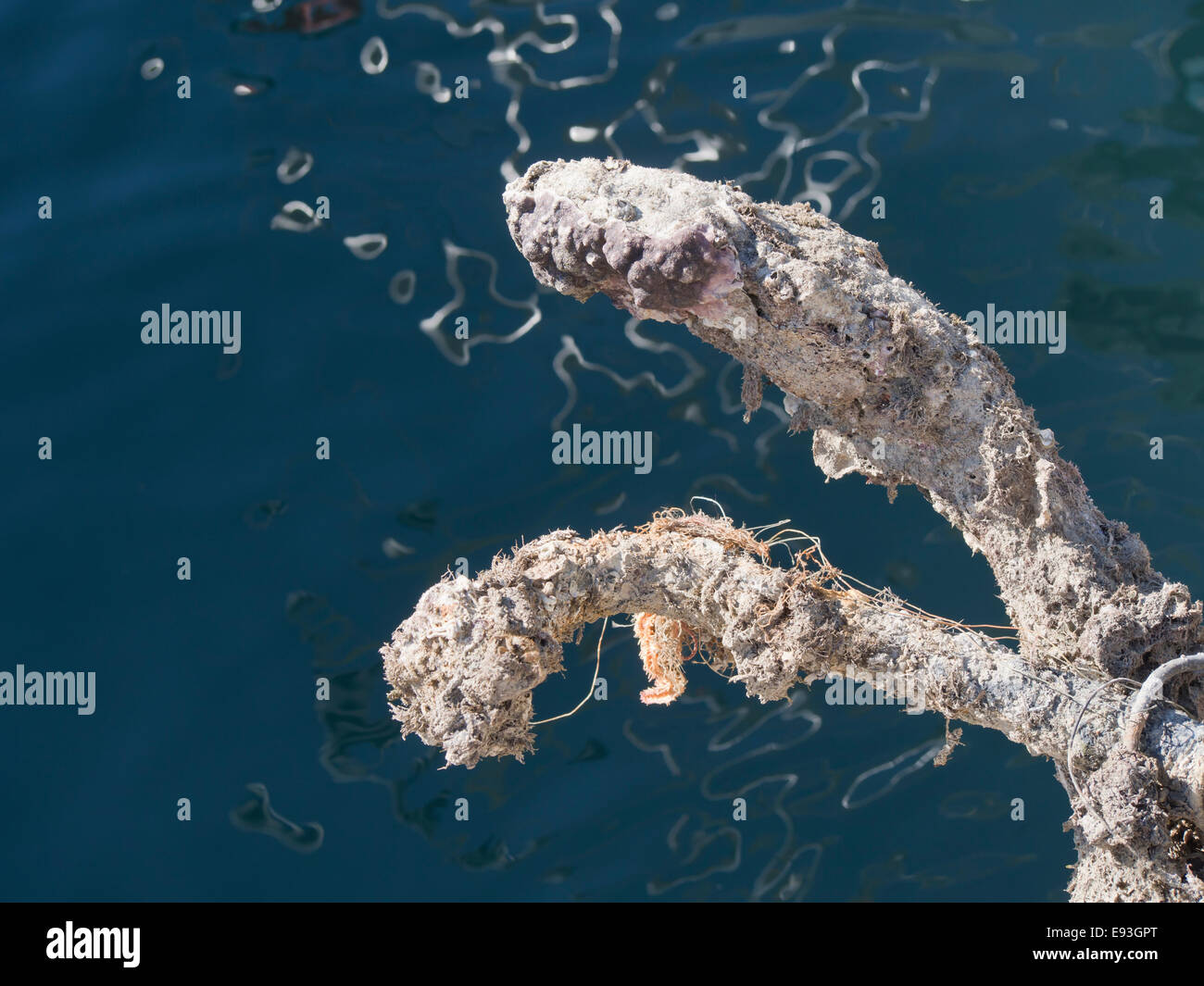 Detail of fishing boats in the harbour of Pythagorion in Samos island ...