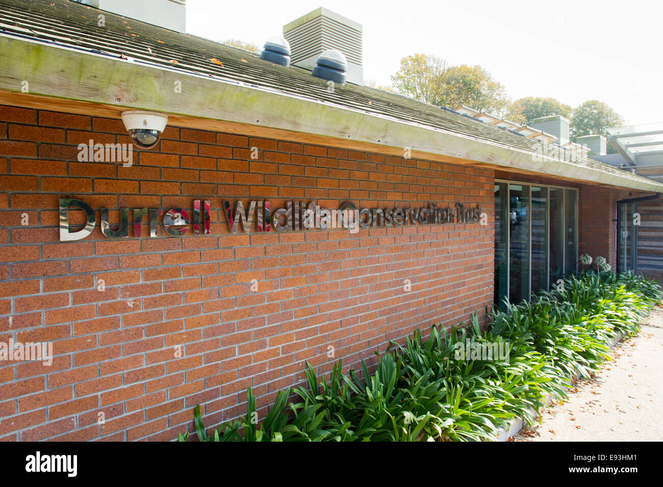 Durrell wildlife conservation trust hi-res stock photography and images ...