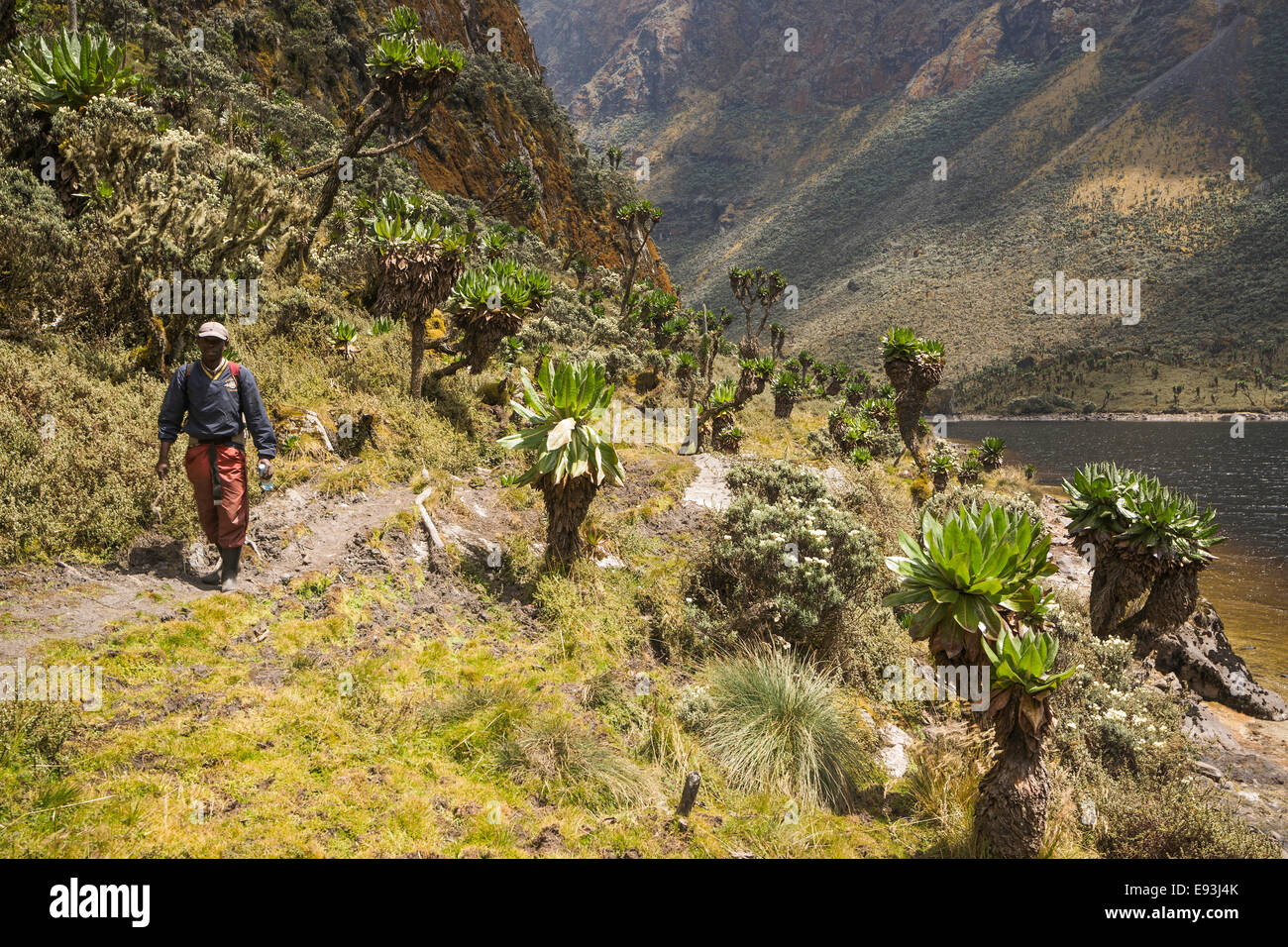 Rwenzori mountains hi-res stock photography and images - Alamy
