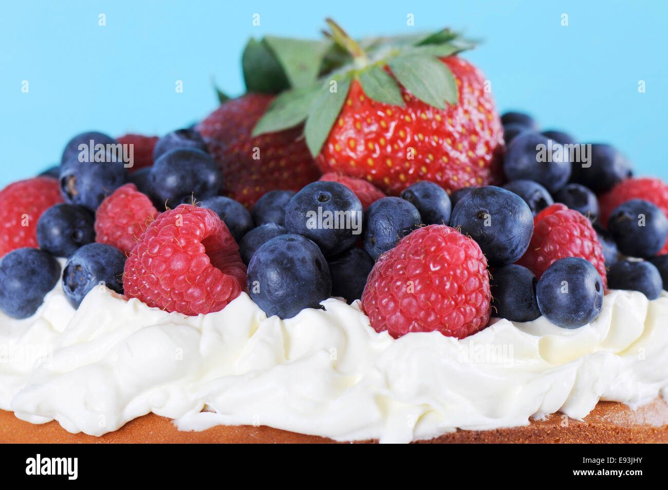 Fresh whipped cream and berries layer sponge cake closeup Stock Photo ...