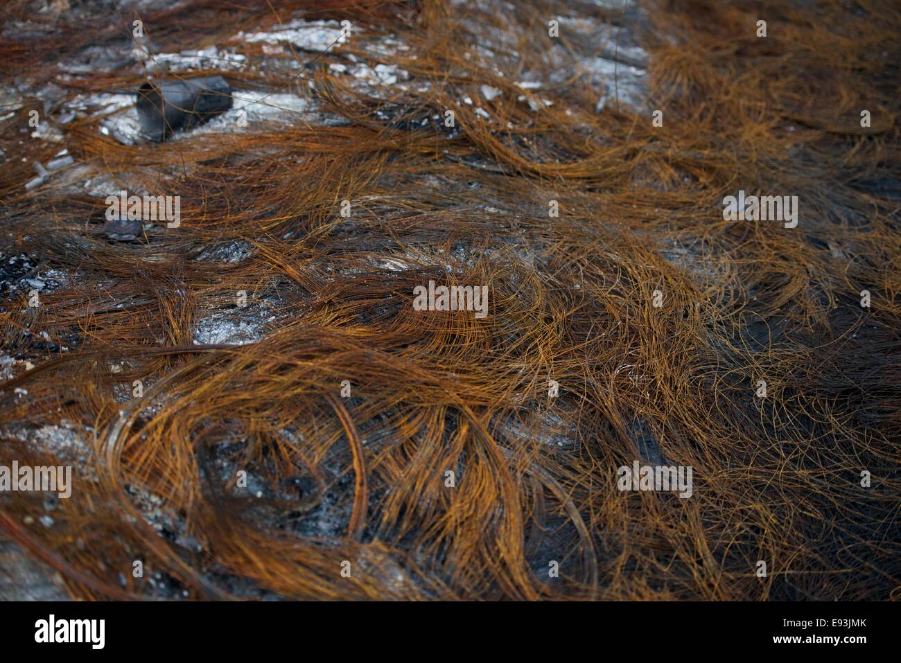 Reinforcing steel hi-res stock photography and images - Alamy
