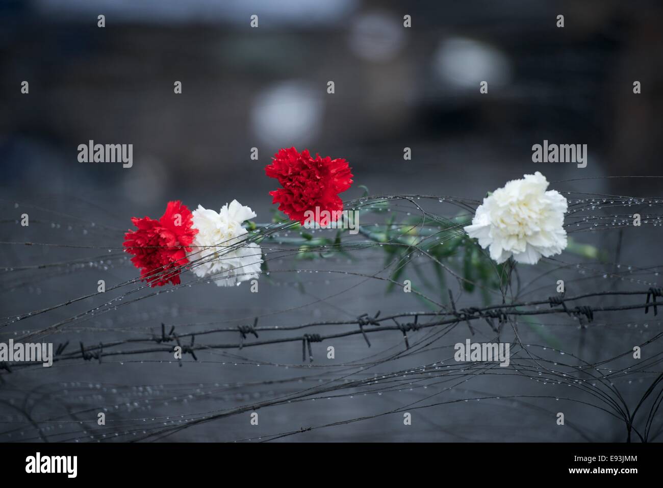 The maidan massacre hi-res stock photography and images - Alamy