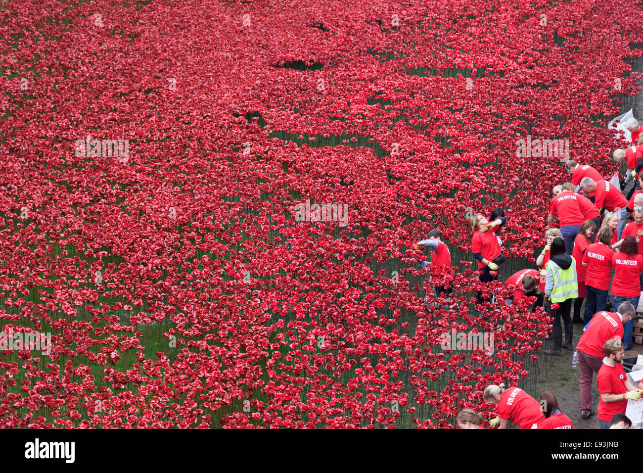 Poppies world war hi-res stock photography and images - Alamy