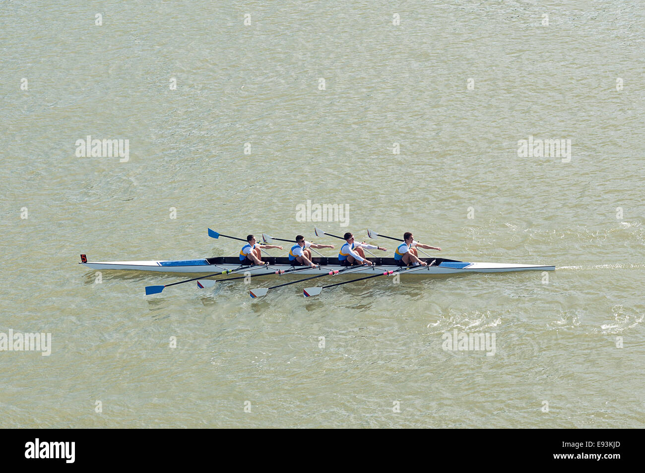 Team rowing on water hi-res stock photography and images - Alamy