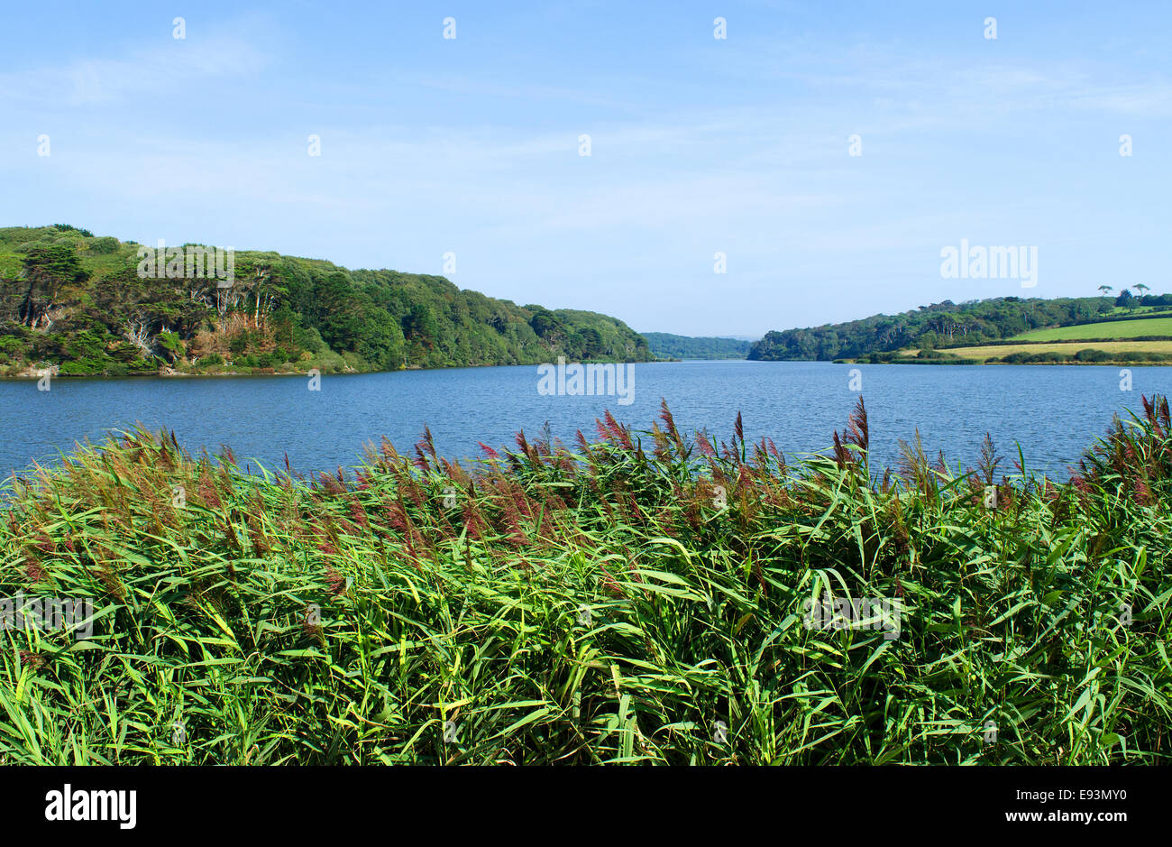 Loe pool cornwall hi-res stock photography and images - Alamy